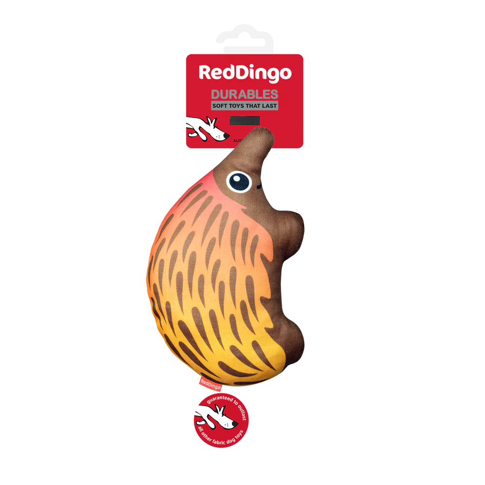 Red Dingo Durables Soft Toys Echidna — Cats Garage