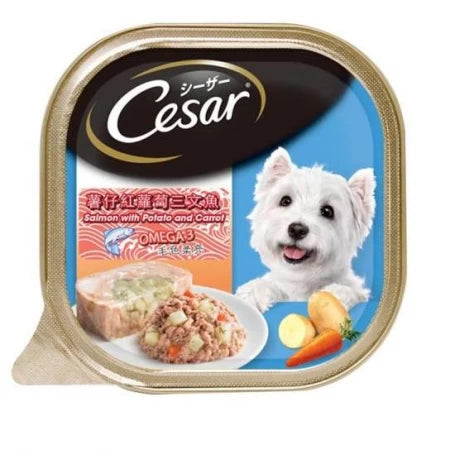 Cesar Salmon with Potato & Carrot 100g X24 — Cats Garage