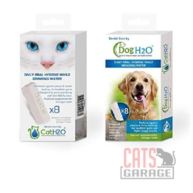 Cat H2O Daily Oral Hygiene Dental Care — Cats Garage