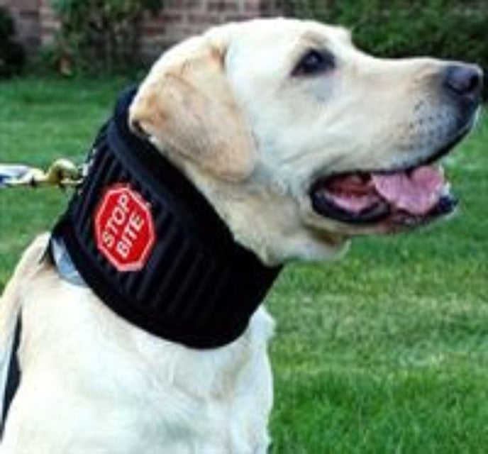 Stop Bite Protective Collar (4 Sizes) — Cats Garage