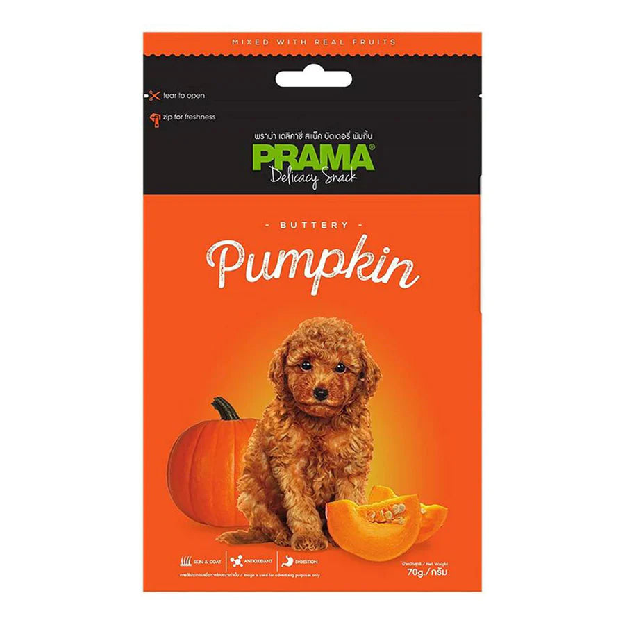 Prama Delicacy Snack BUTTERY PUMPKIN 70g — Cats Garage