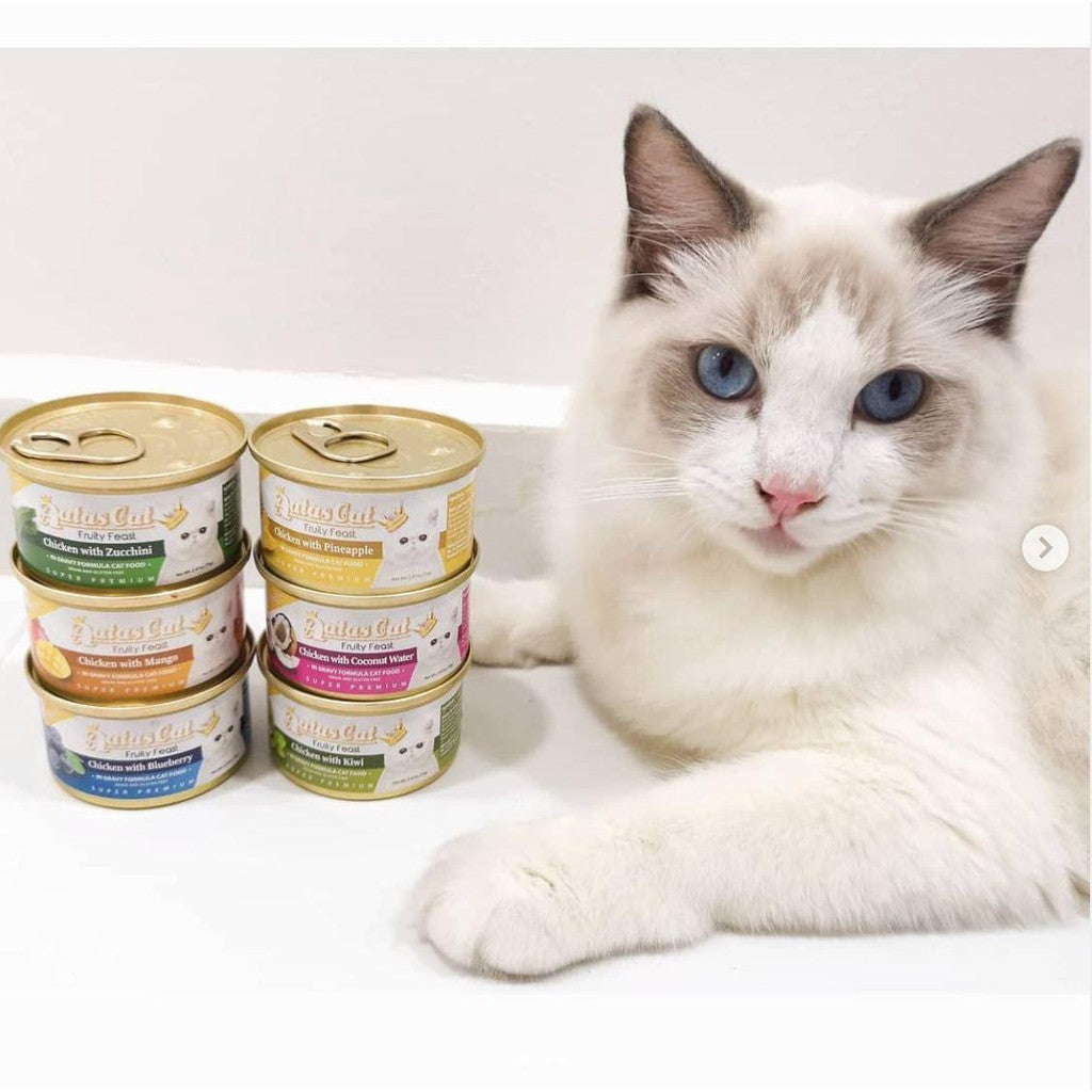 AATAS CAT Finest Fruity Feast Chicken in Gravy Cat Wet Food 70g X24 ...